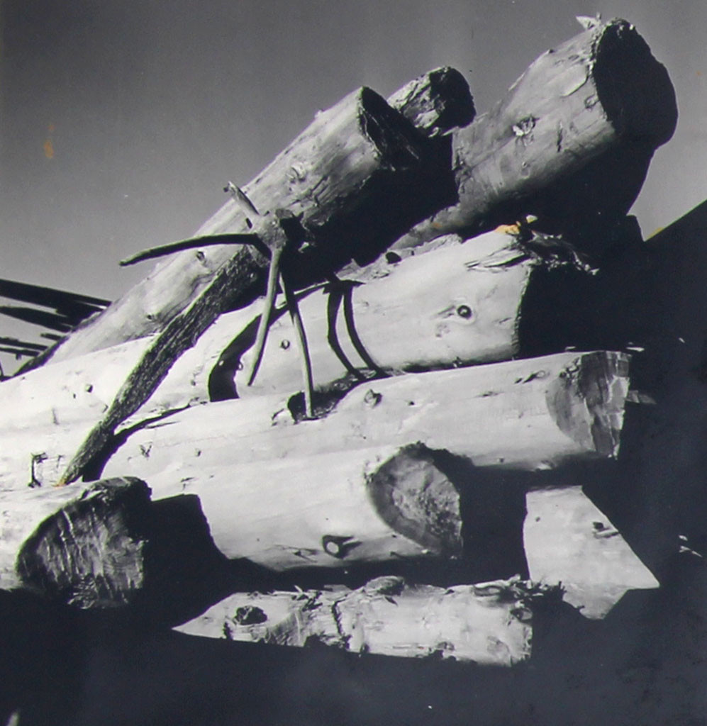 Lardex - Bygging av Badeparken